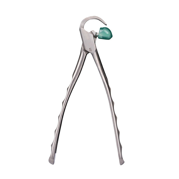 Directa Physics Forceps Standard Series Lower Universal GMX200 Each - HSHK