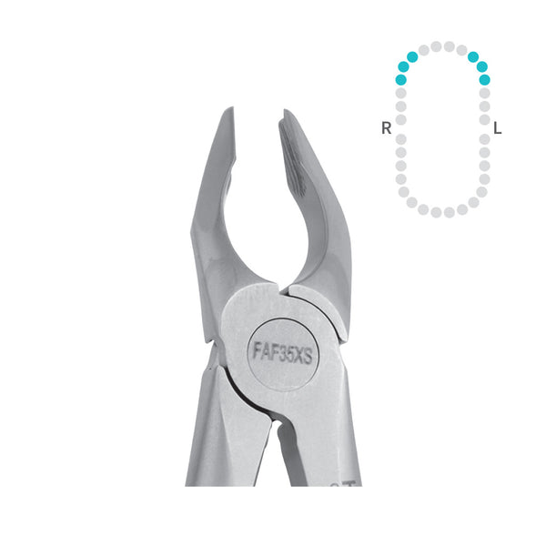[Winter] Hu-Friedy 35 Apical Forceps, Upper Canines and Premolars, Atr ...