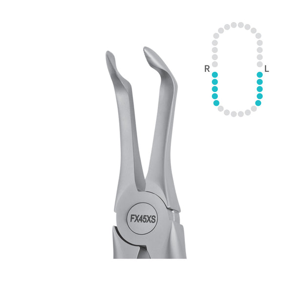 [Winter] Hu-Friedy 45 Root Forceps, Serrated, Lower Roots, Atraumair E ...