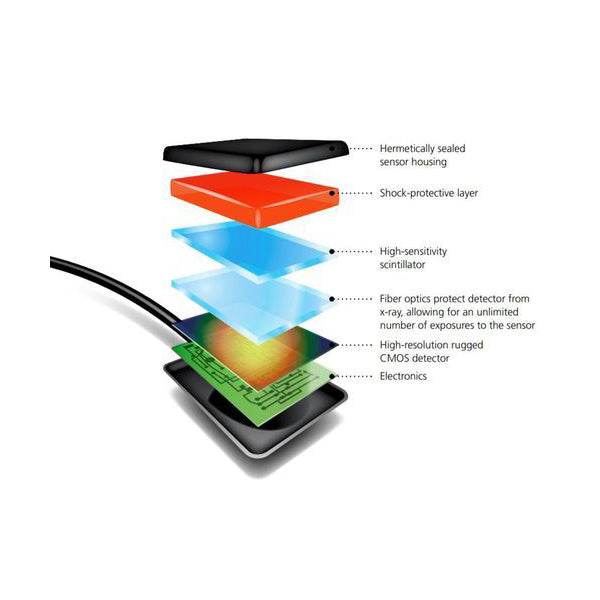 Carestream RVG 5200 X-Ray Sensor - HSHK